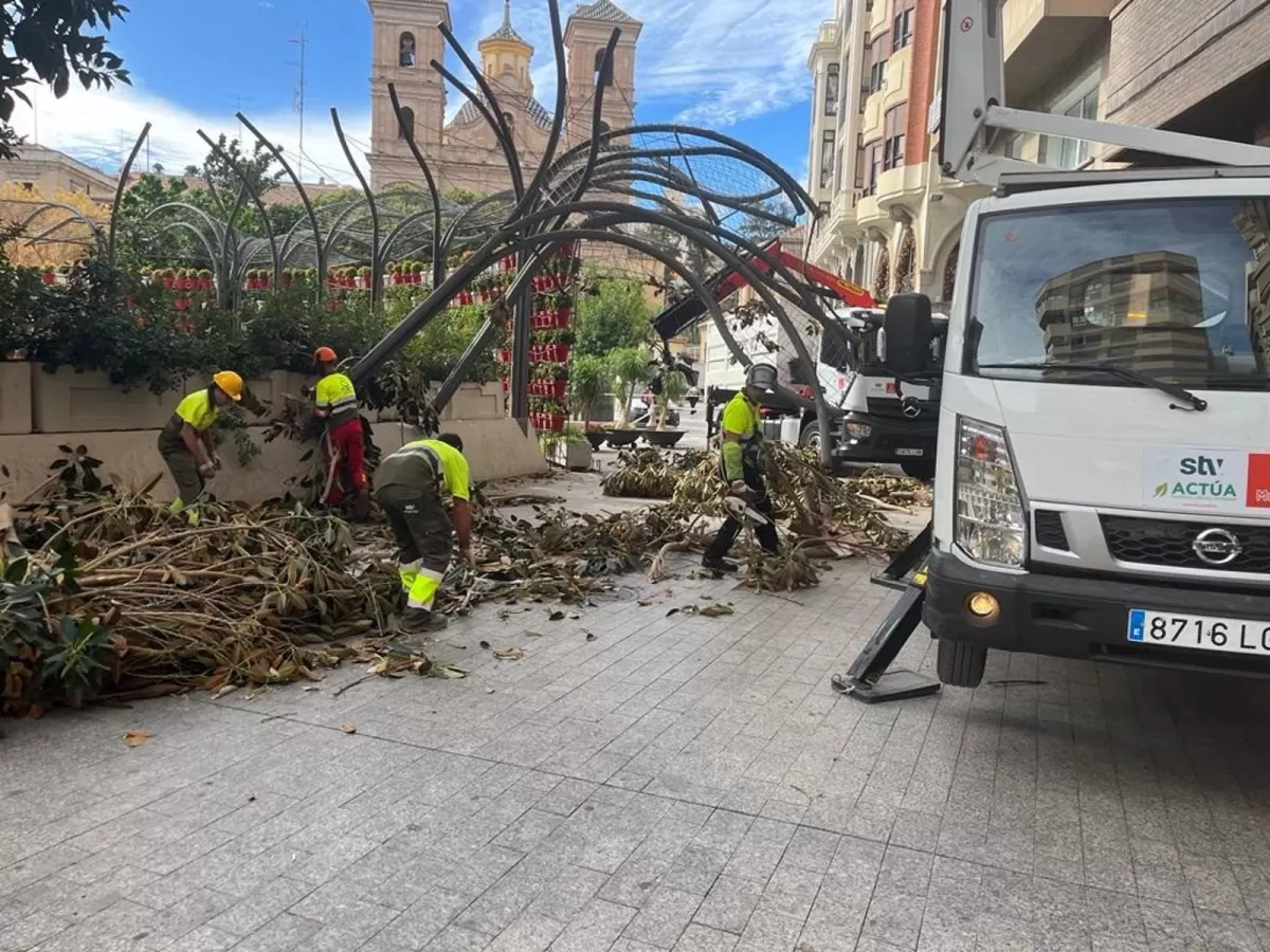 El viento provoca la caída de dos ramas del ficus de la plaza de Santo Domingo