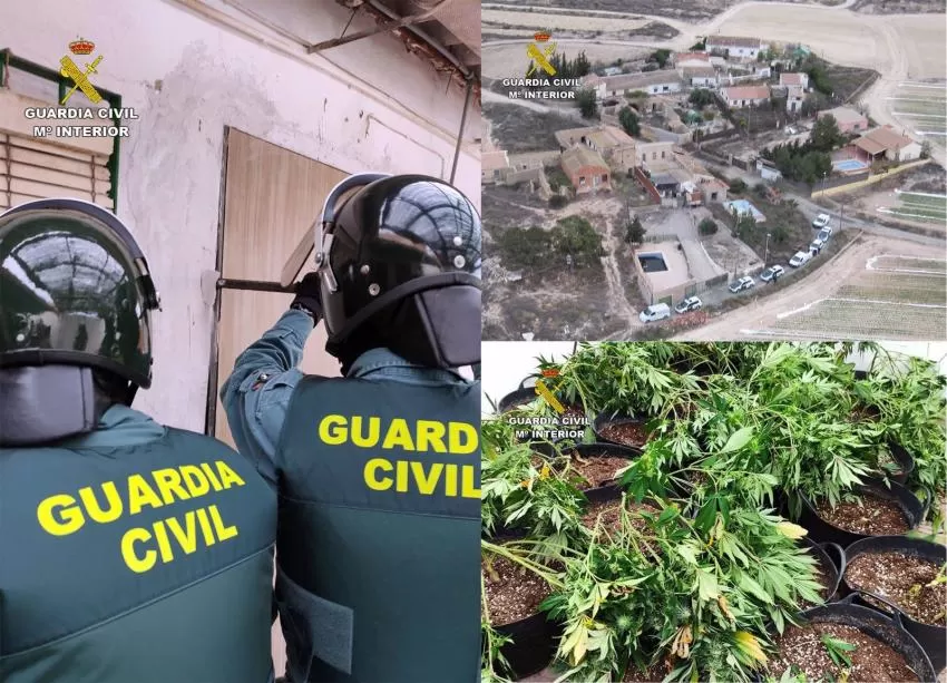 La Guardia Civil desarticula en Murcia un grupo criminal dedicado al cultivo y tráfico de droga ...