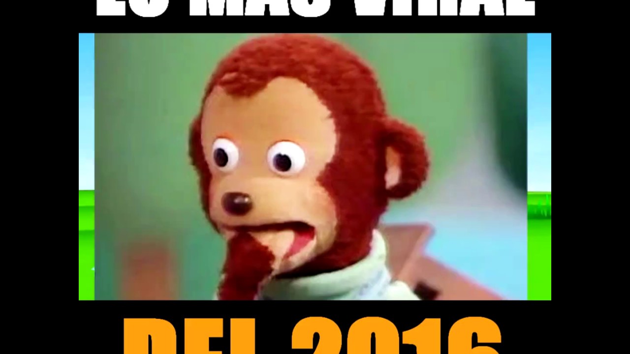 Los 4 Memes más virales